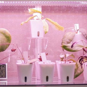 Milsbo Wide Pegboard - Ikea Greenhouse - Clear Acrylic Pegboard - for ...