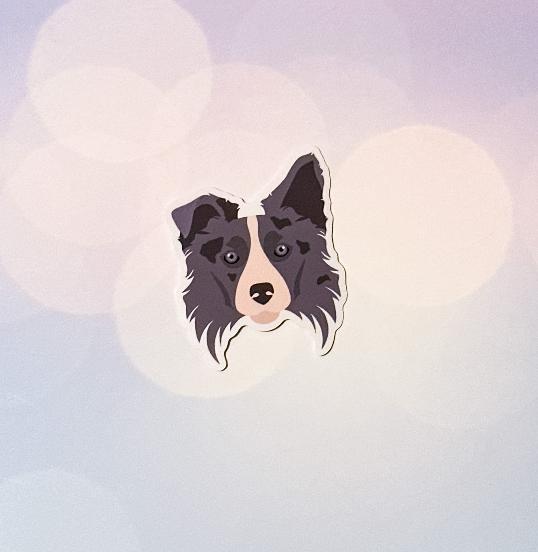 Border Collie Dog Sticker - Etsy
