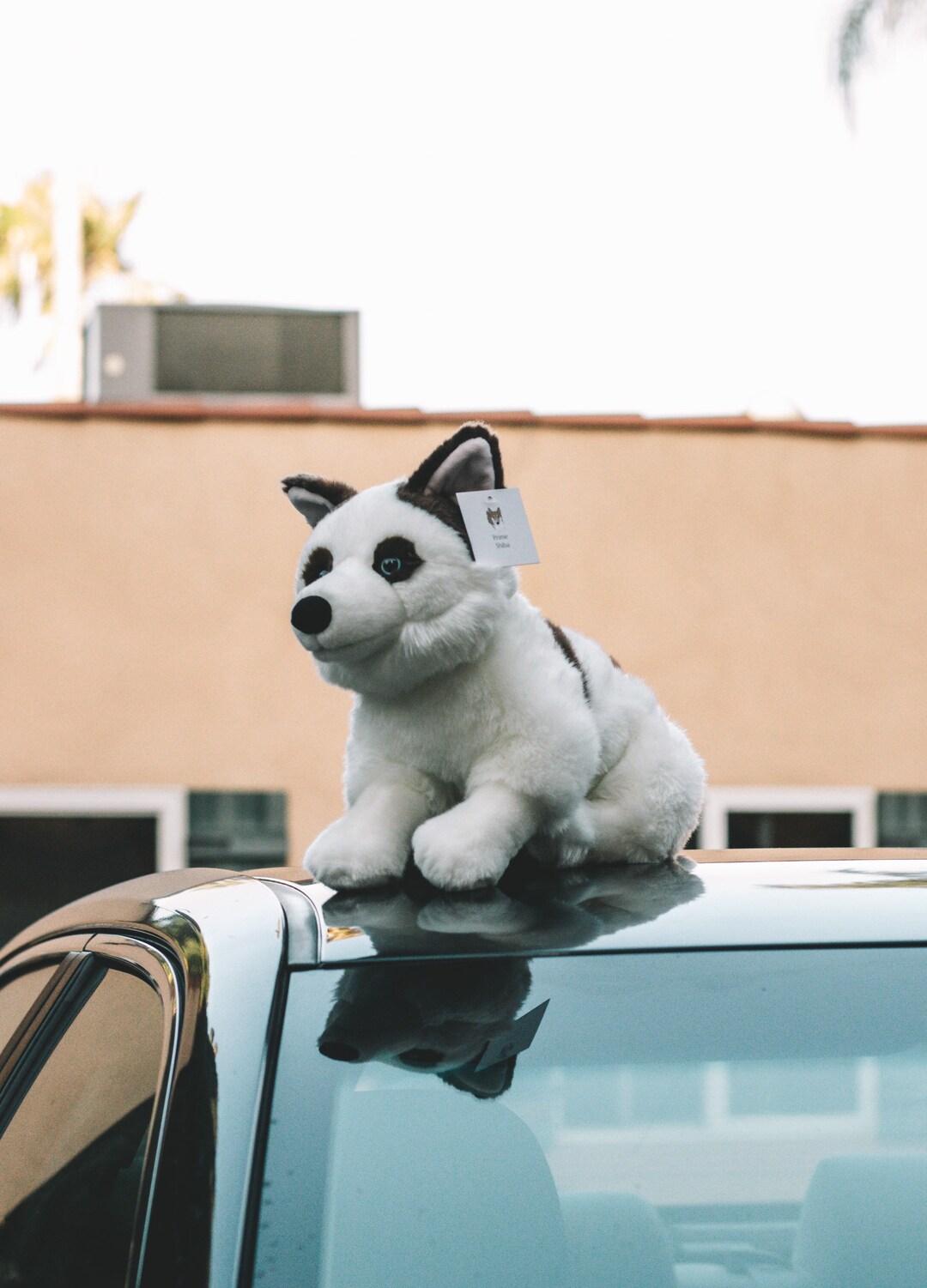 Zayn the Piebald Husky Dog Plush 15in by Prime Shiba | ESSA Support ...