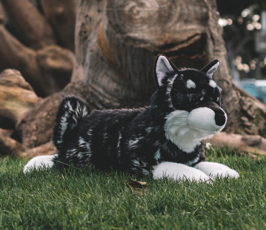 Pre Order Swedish Elkhound Dog Plush 22in by Prime Shiba - Etsy