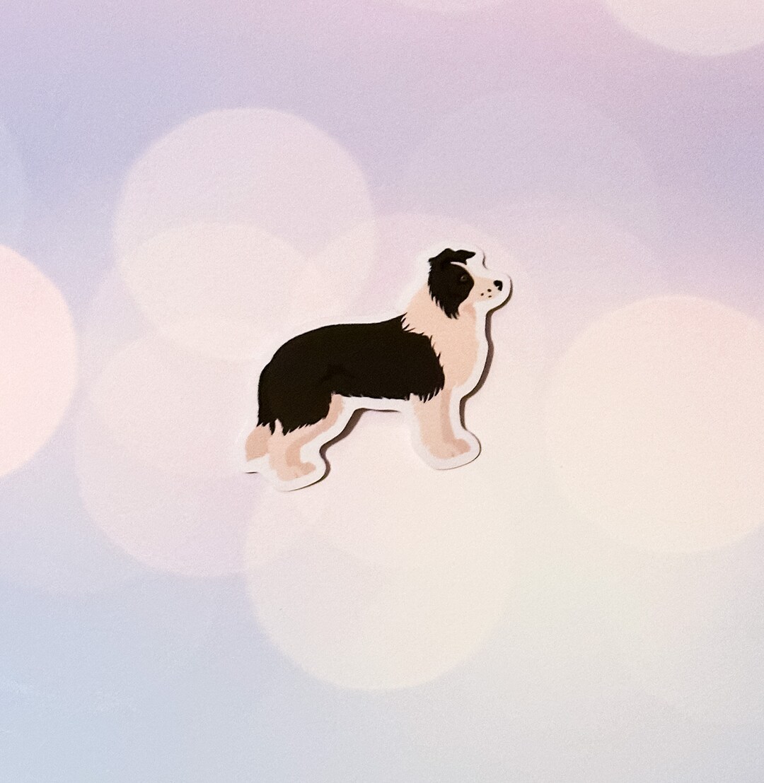 Border Collie Dog Sticker - Etsy