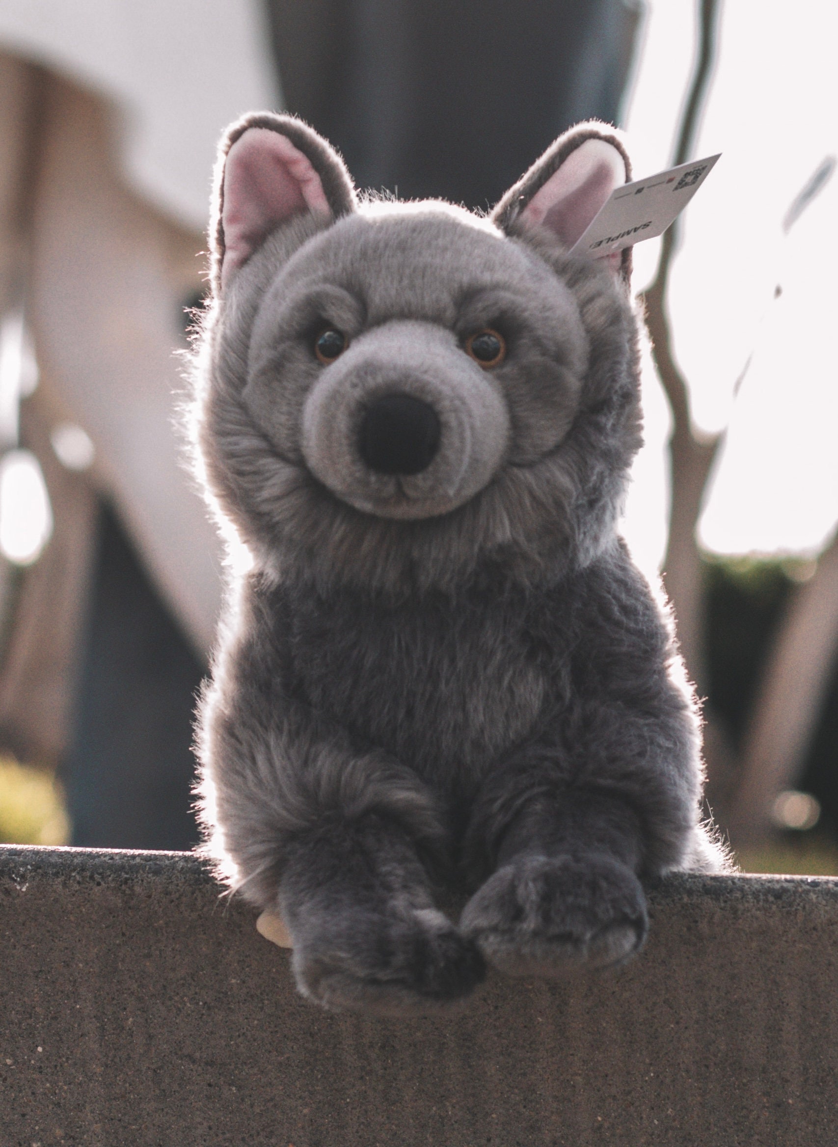 Blue Bay Shepherd Wolfdog Or Pet Dog