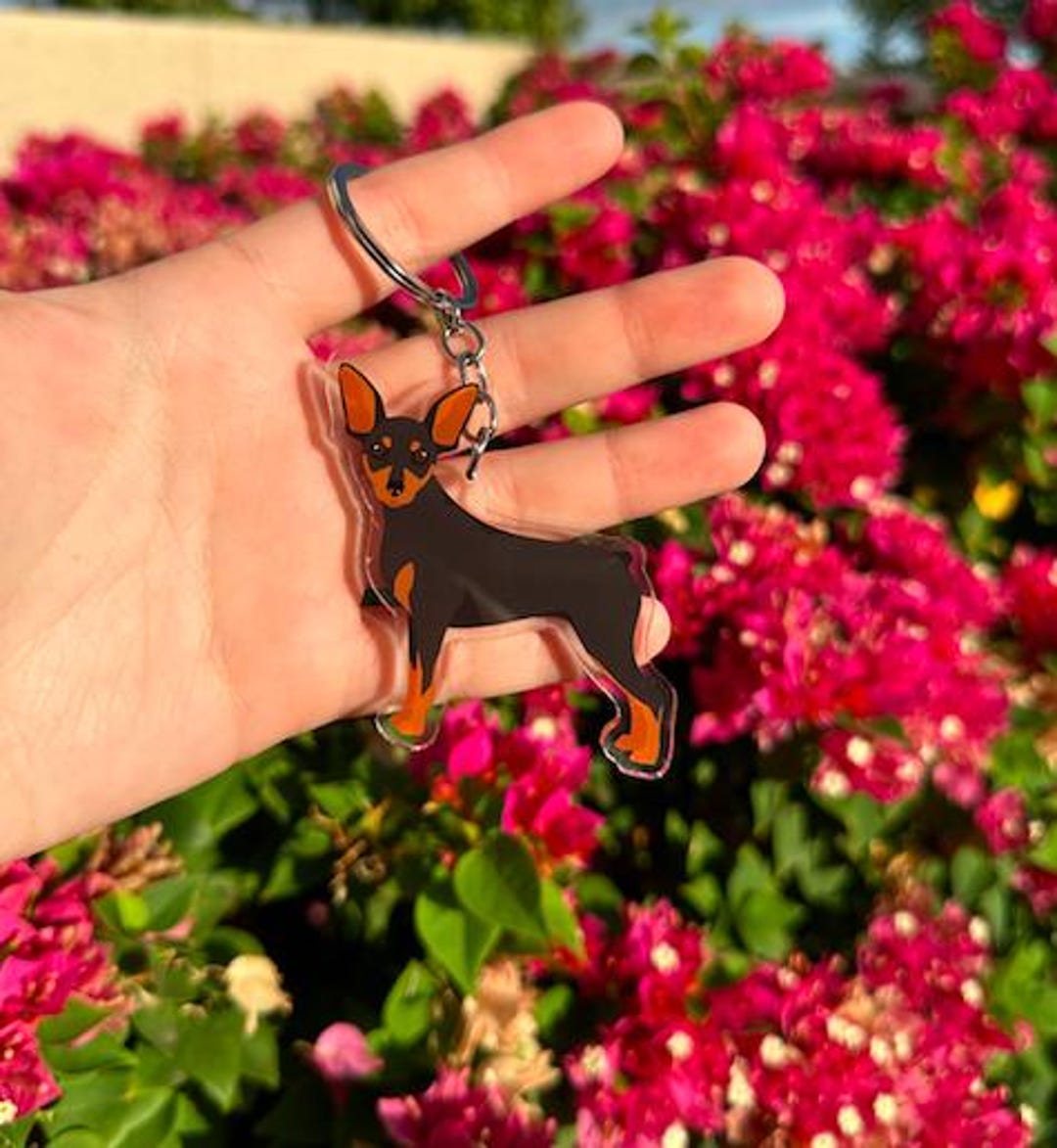 Miniature Pinscher Dog 2.5in Acrylic Keychain - Etsy