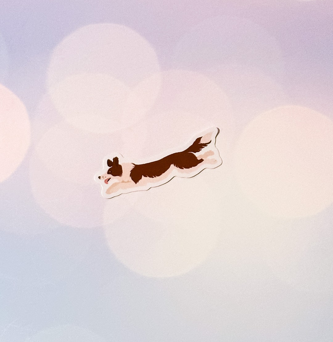 Border Collie Dog Sticker - Etsy