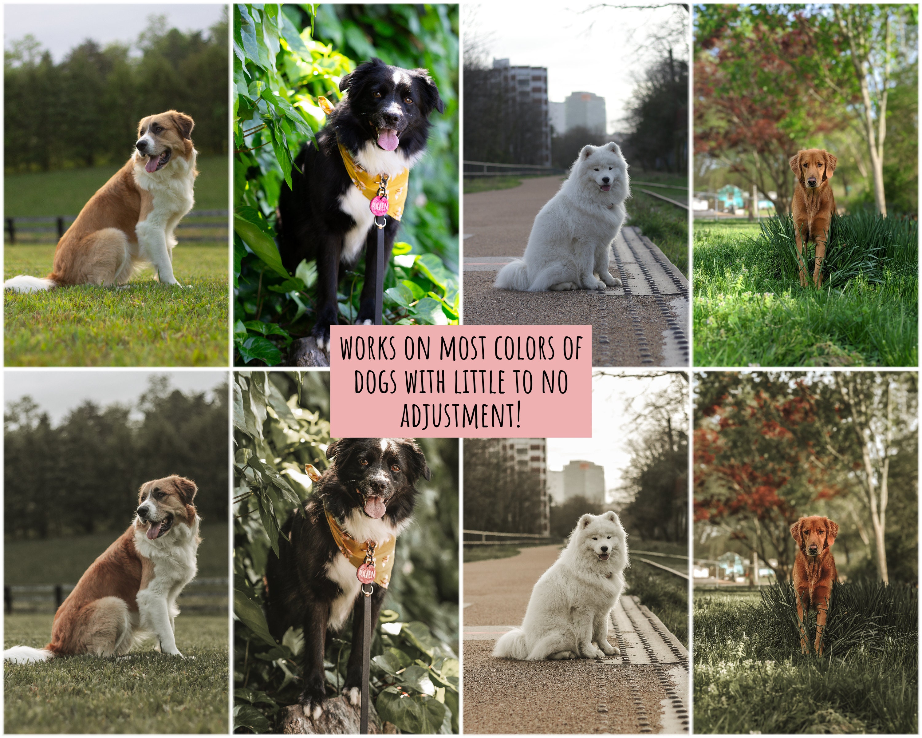 Tree Hugger desktop and Mobile Lightroom Single Preset for Instagram ...