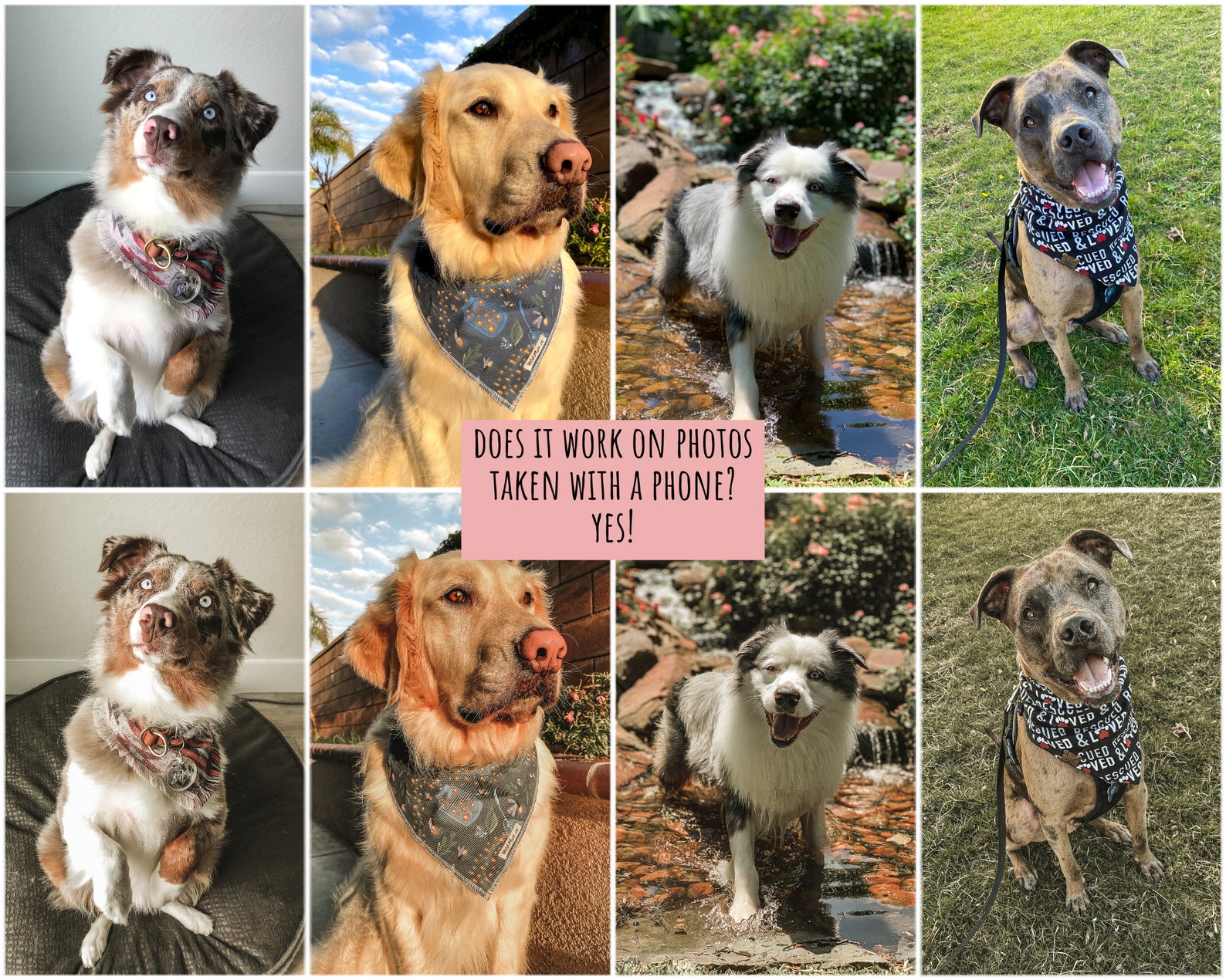 Tree Hugger (desktop and Mobile Lightroom Single Preset for Instagram ...