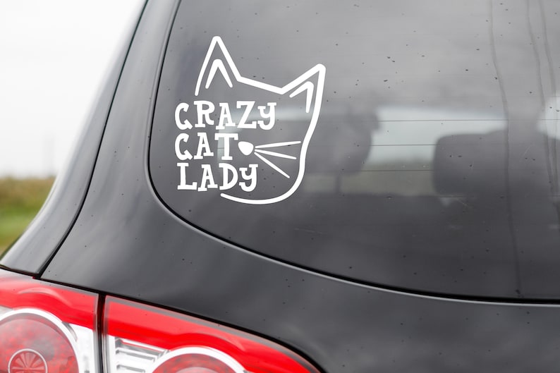 Crazy Cat Lady Vinyl Decal Cat Decal Crazy Cat Lady Car | Etsy