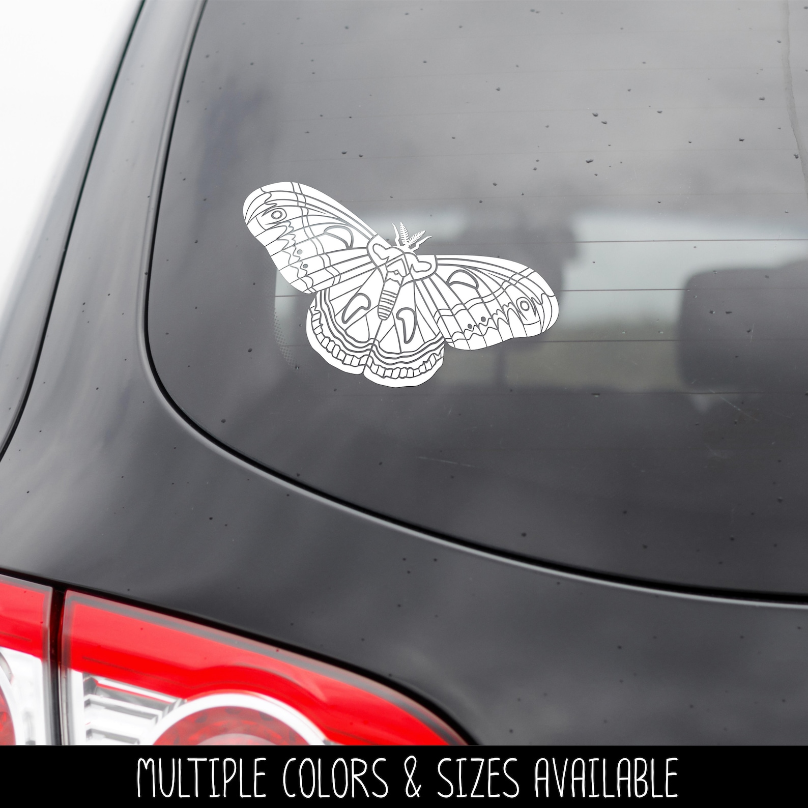 Ornate Moth Vinyl Decal Moth Decal Moth Car Decal Moth - Etsy