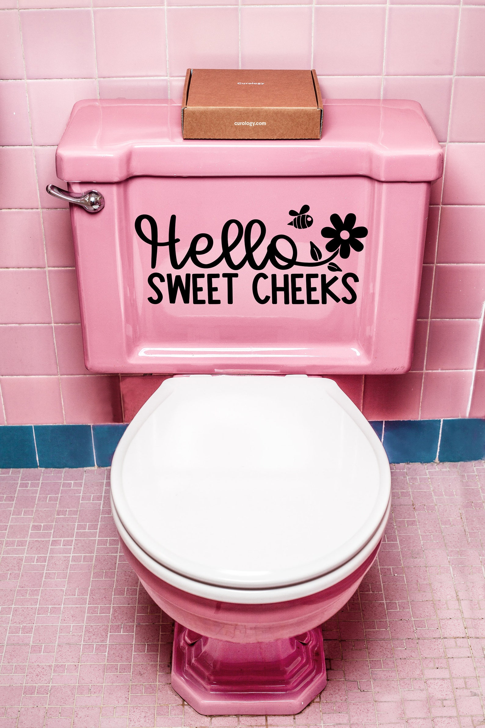 Hello Sweet Cheeks Bee Flower Vinyl Decal Hello Sweet Cheeks | Etsy