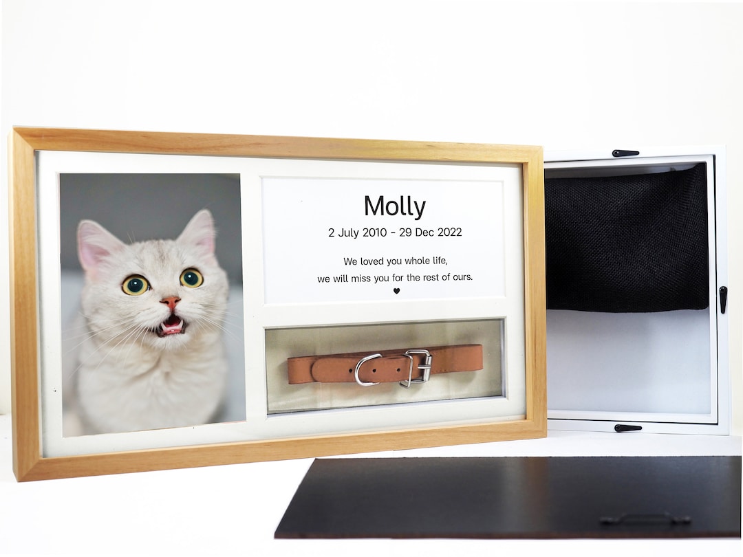 Engraved Pet Memorial Frame: Cat/dog Ashes Keepsake, Collar Display (up ...