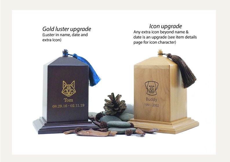 Guinea Pig Urnrat Urn Custom Rat Urnhamster Urnashes Urn - Etsy