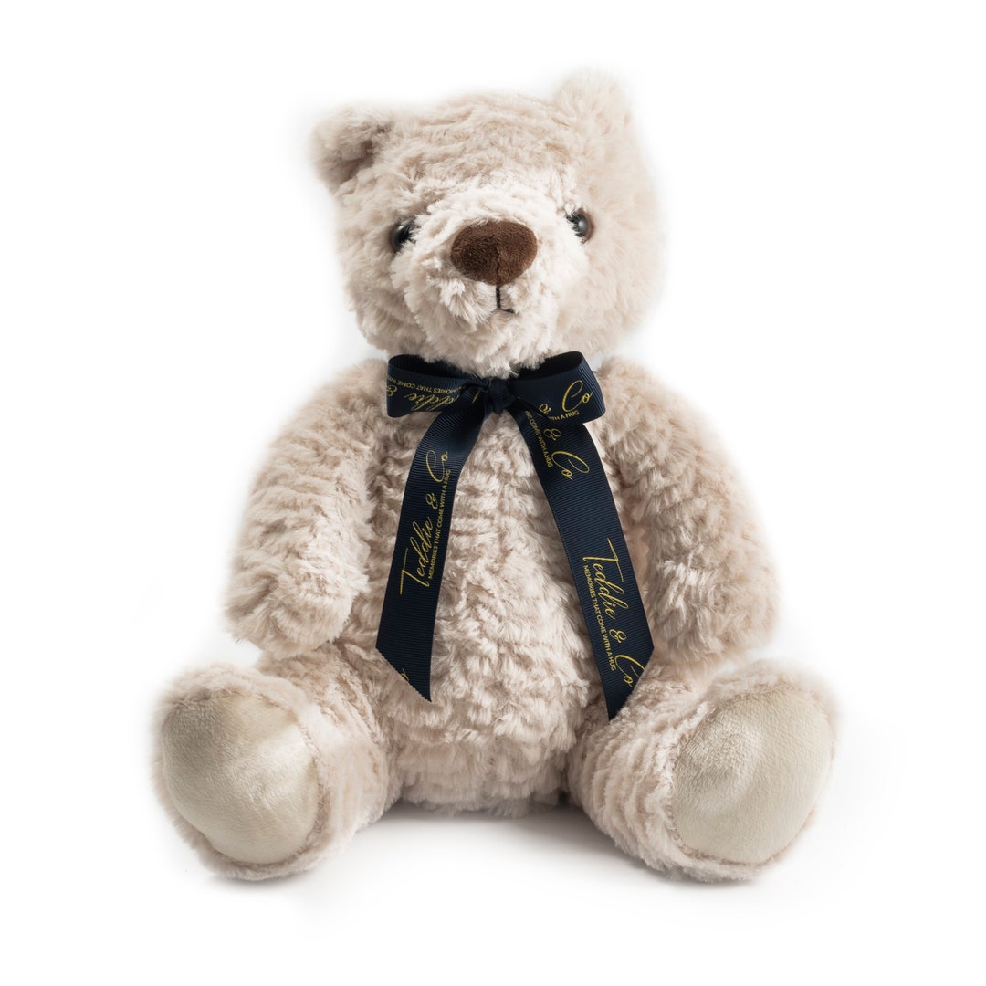 Cream Heartbeat Teddy Bear – Treasure Your Baby's Heartbeat - 20 Second ...