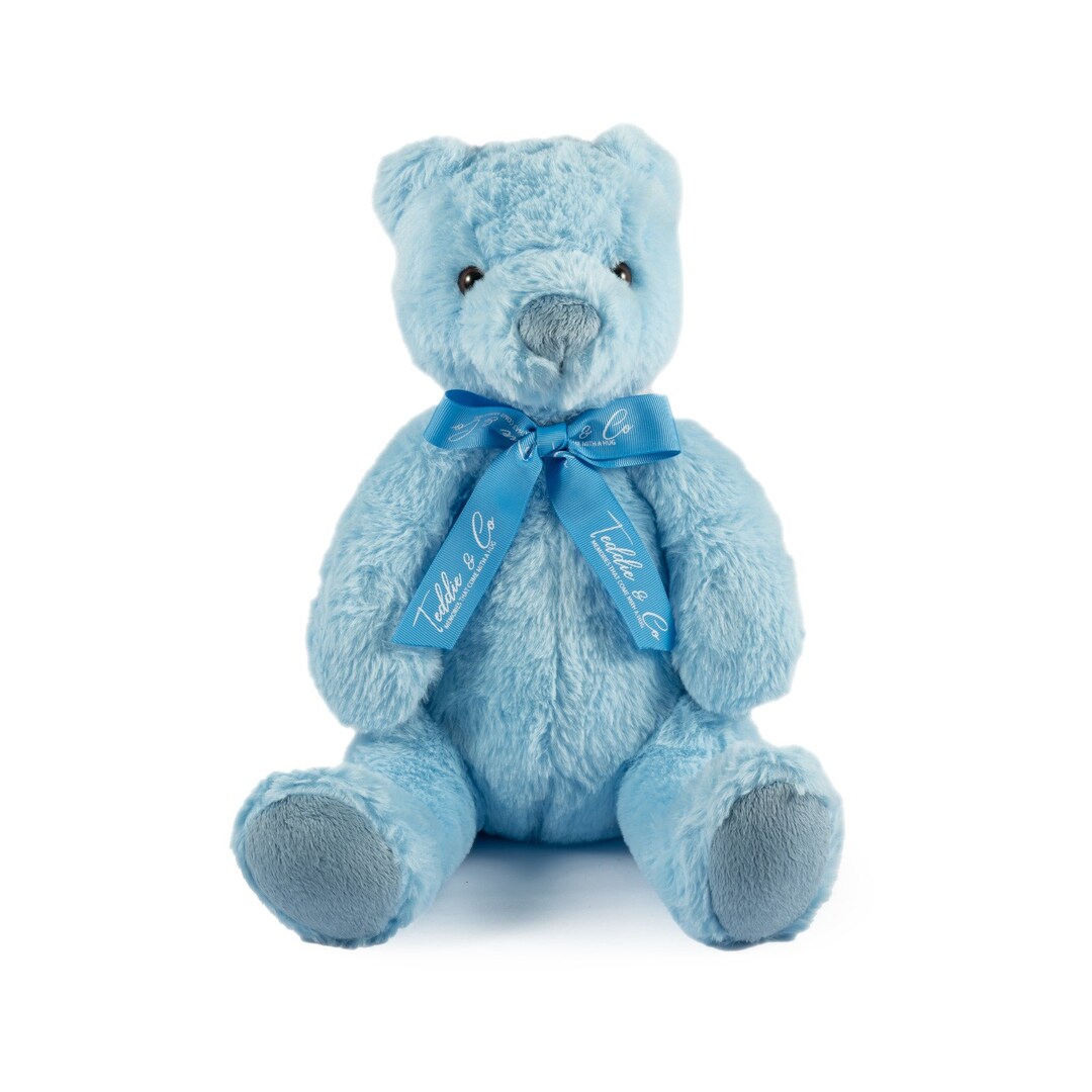 20 Second Re-recordable Plush Teddy Bear - Etsy