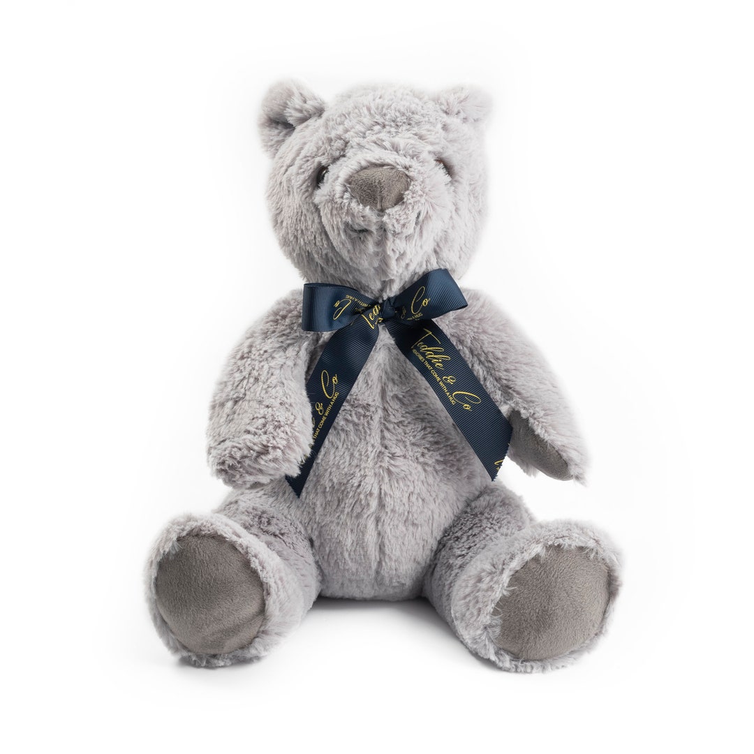 Grey Heartbeat Teddy Bear – Treasure Your Baby's Heartbeat - 20 Second ...