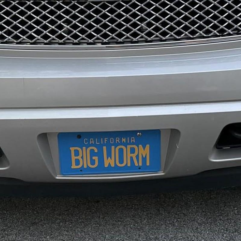 Big Worm Friday - Etsy