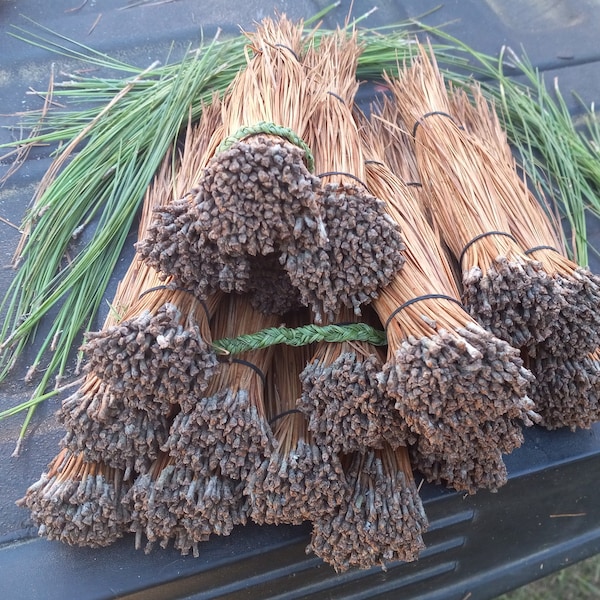 Dyed Pine Needles - Etsy