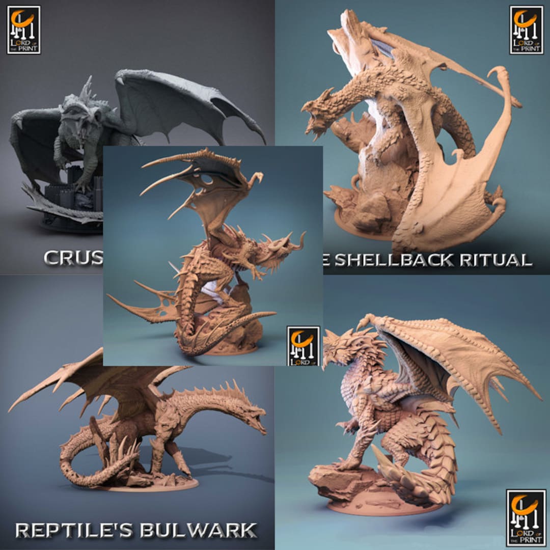 Chromatic Dragon Collection - Dnd Miniatures - Role Playing Game ...