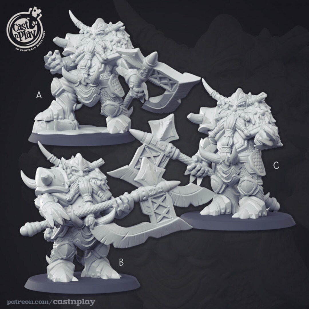 Dwarven Warlord Miniatures Castnplay Dnd Miniatures Role Playing Game ...