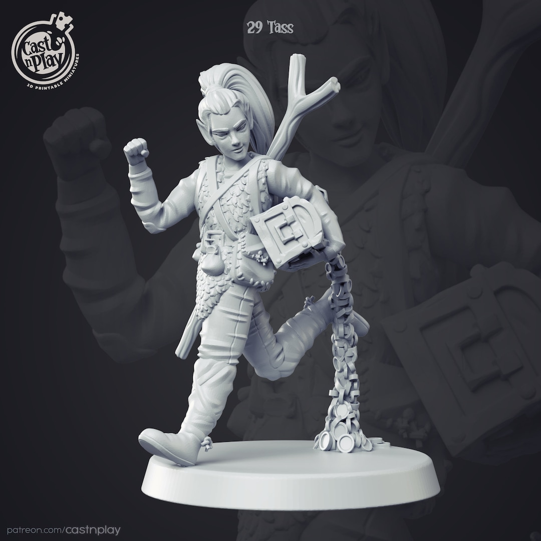 Tass Miniature - Castnplay - Dnd Miniatures - Role Playing Game ...