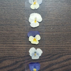 Pressed Violets Bookmark - Etsy