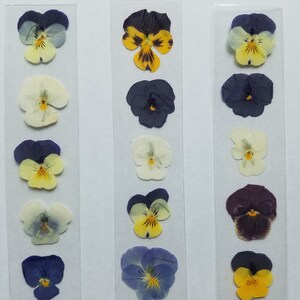 Pressed Violets Bookmark - Etsy