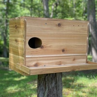 Barn Owl Nesting Box Kit - Etsy