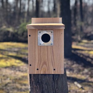 Flycatcher Nest Box - Etsy
