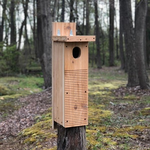 Northern Flicker Nest Box | Etsy