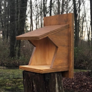 Eastern Phoebe, Barn Swallow & American Robin Nest Shelf - Etsy
