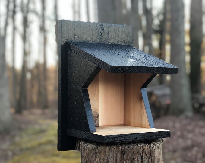 Eastern Phoebe Barn Swallow & American Robin Nest Shelf - Etsy