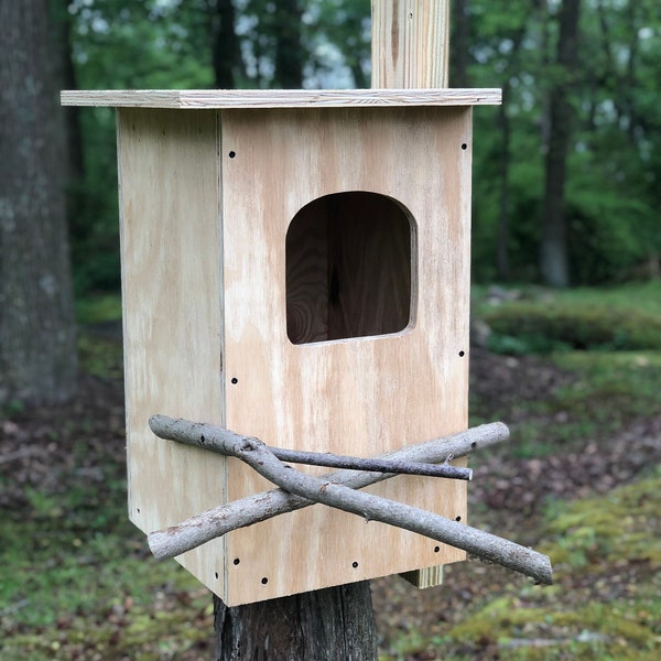 Barred Owl Nesting Box - Etsy