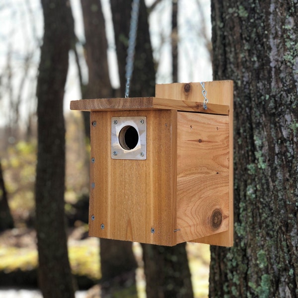 Nest Box - Etsy