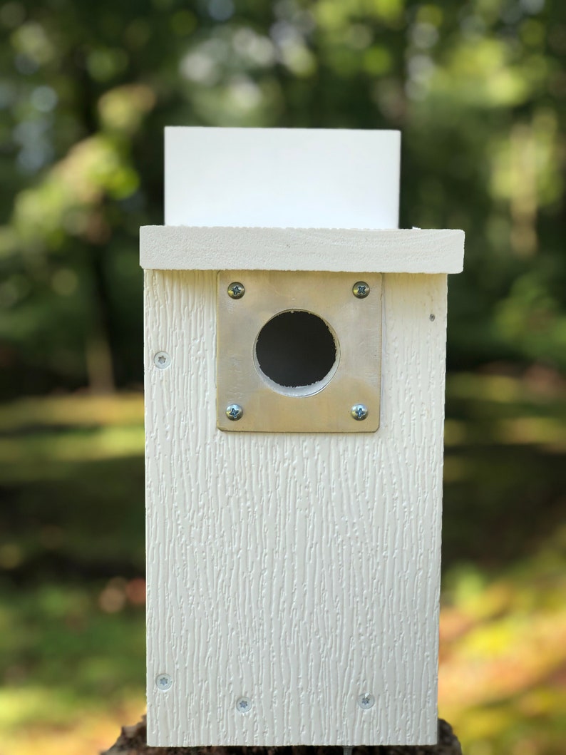 Bluebird & Tree Swallow Birdhouses - Etsy
