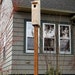 Northern Flicker Nest Box - Etsy
