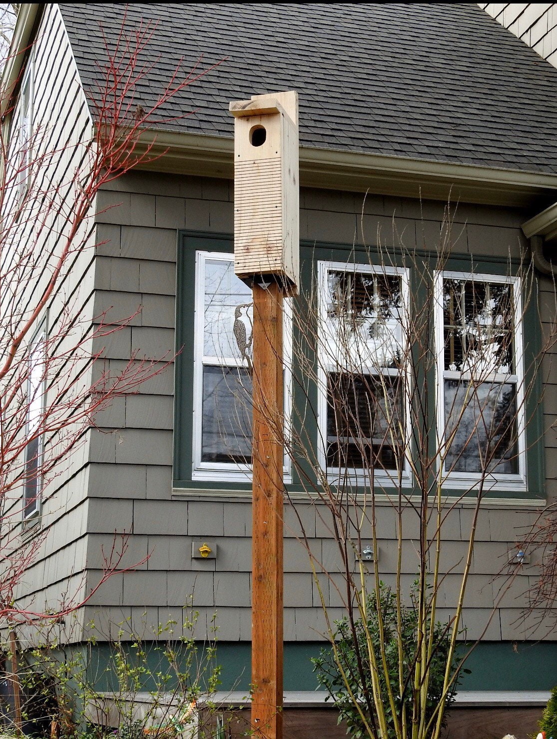 Northern Flicker Nest Box - Etsy