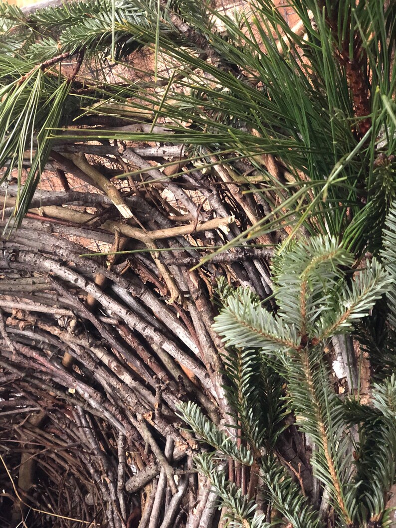 Great Horned Owl & Great Gray Owl Open Cavity Nest Cone | Etsy