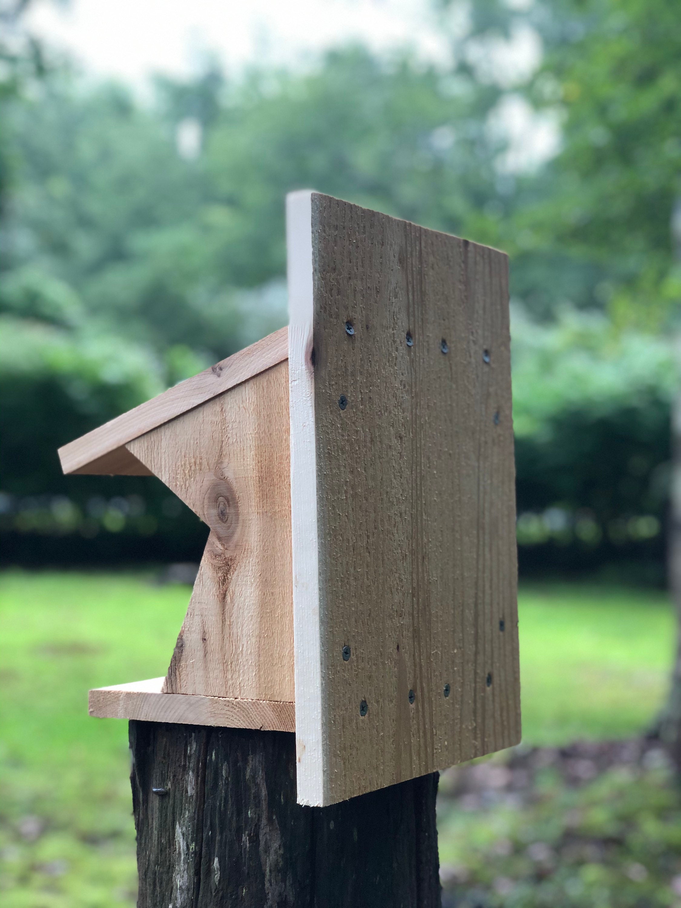 Eastern Phoebe Barn Swallow & American Robin Nest Shelf | Etsy