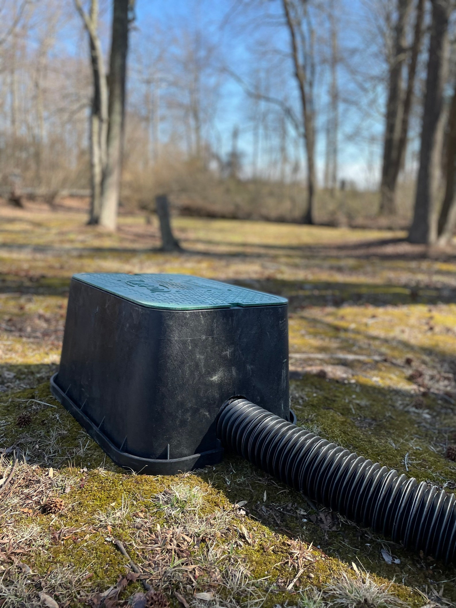 Burrowing Owl Artificial Burrow | Etsy