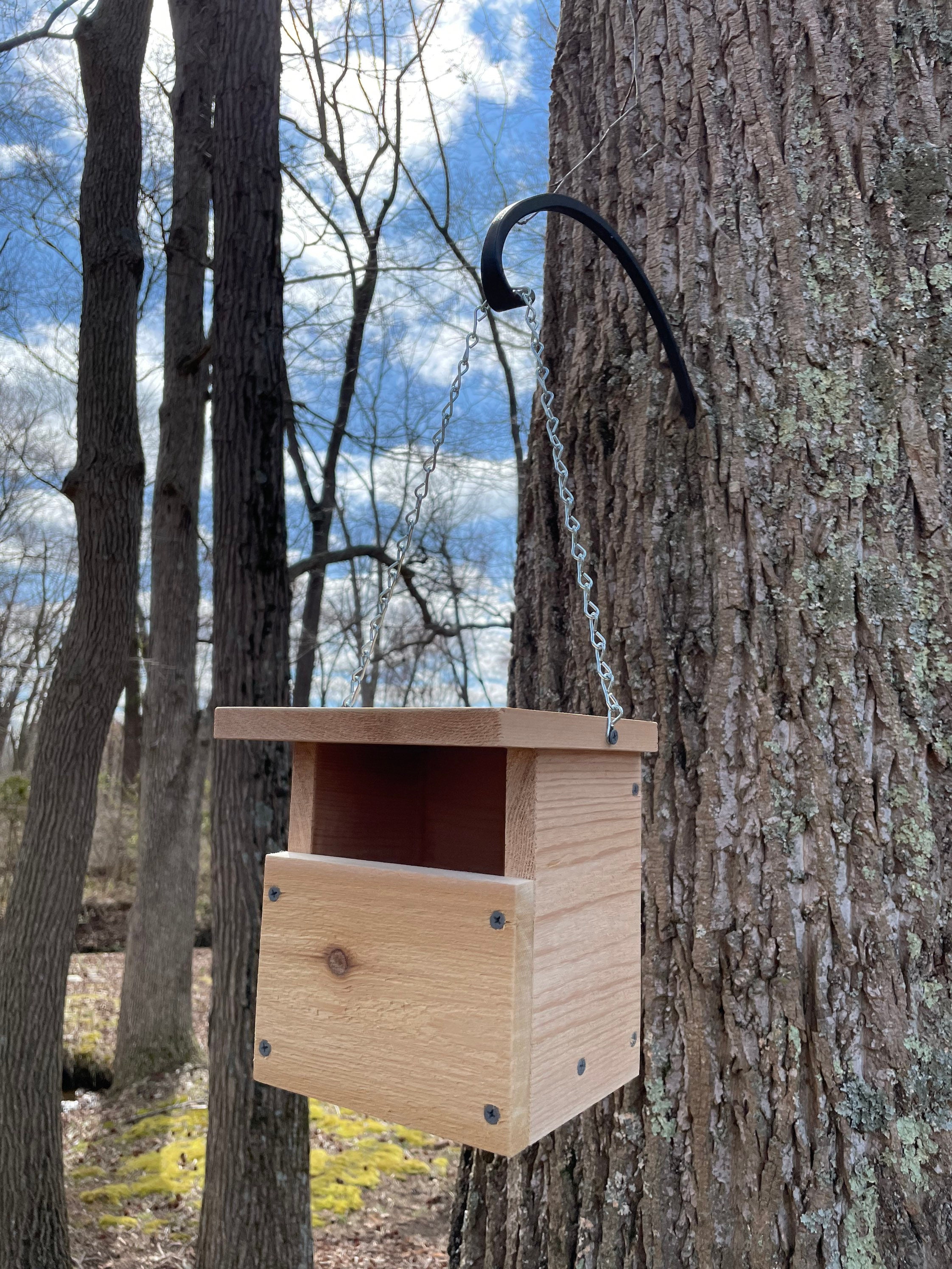 Hanging Carolina Wren Open Cavity Nest Box - Etsy
