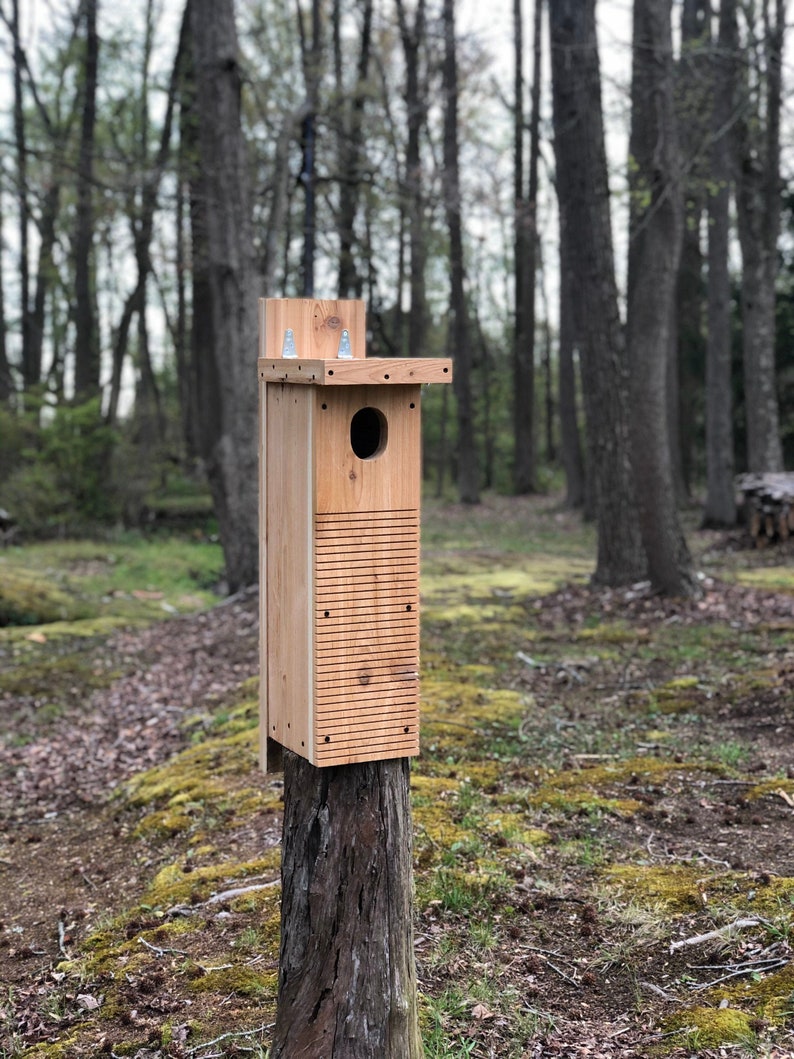 Northern Flicker Nest Box | Etsy