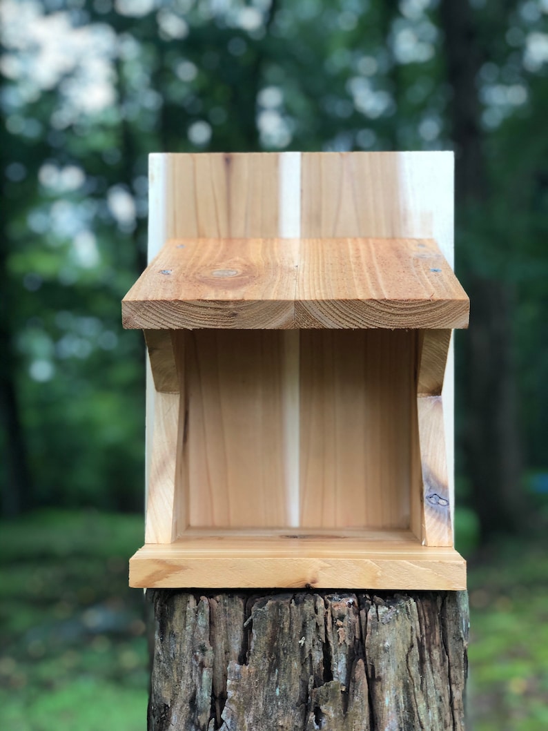 Eastern Phoebe Barn Swallow & American Robin Nest Shelf | Etsy
