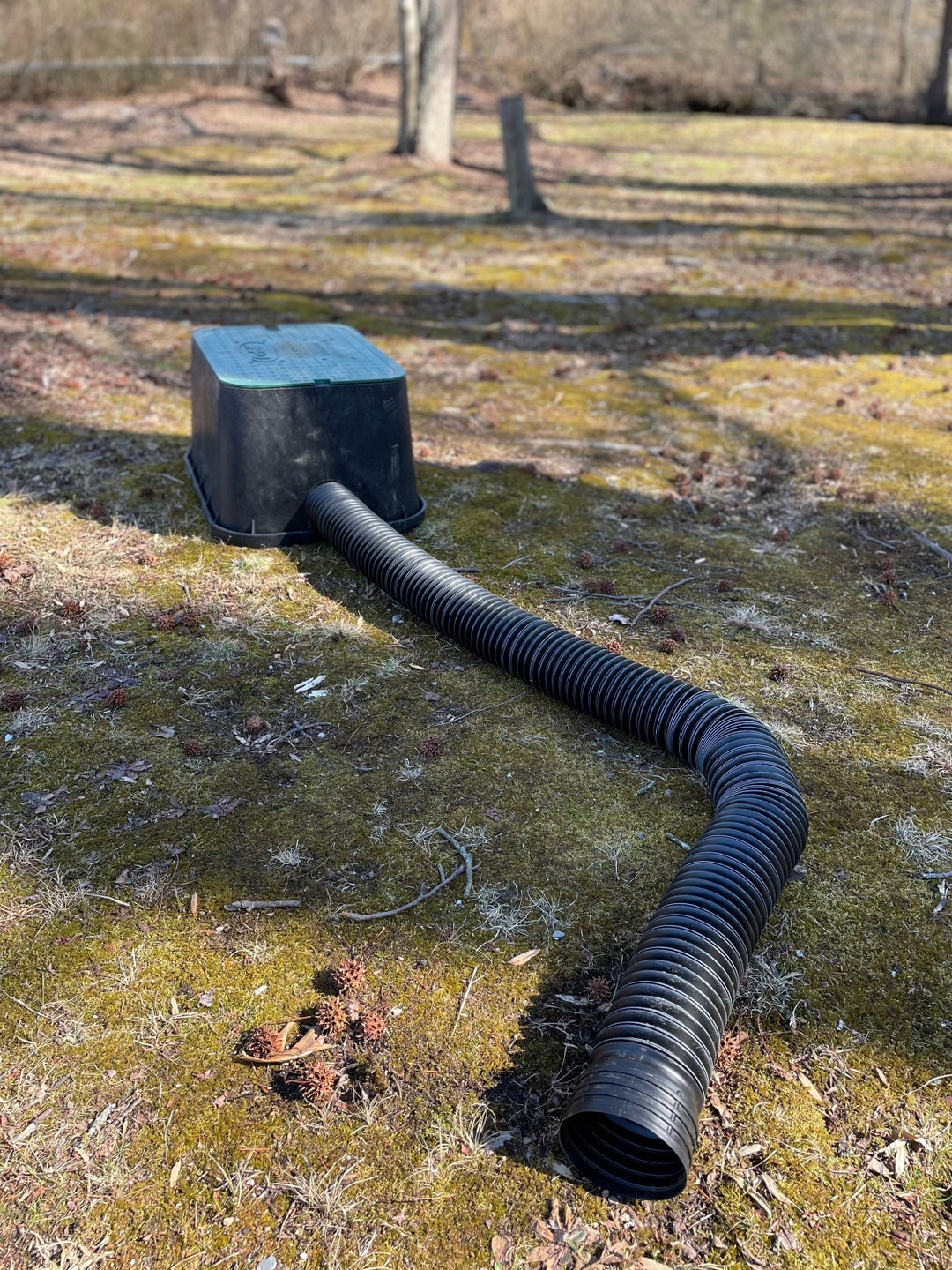 Burrowing Owl Artificial Burrow - Etsy