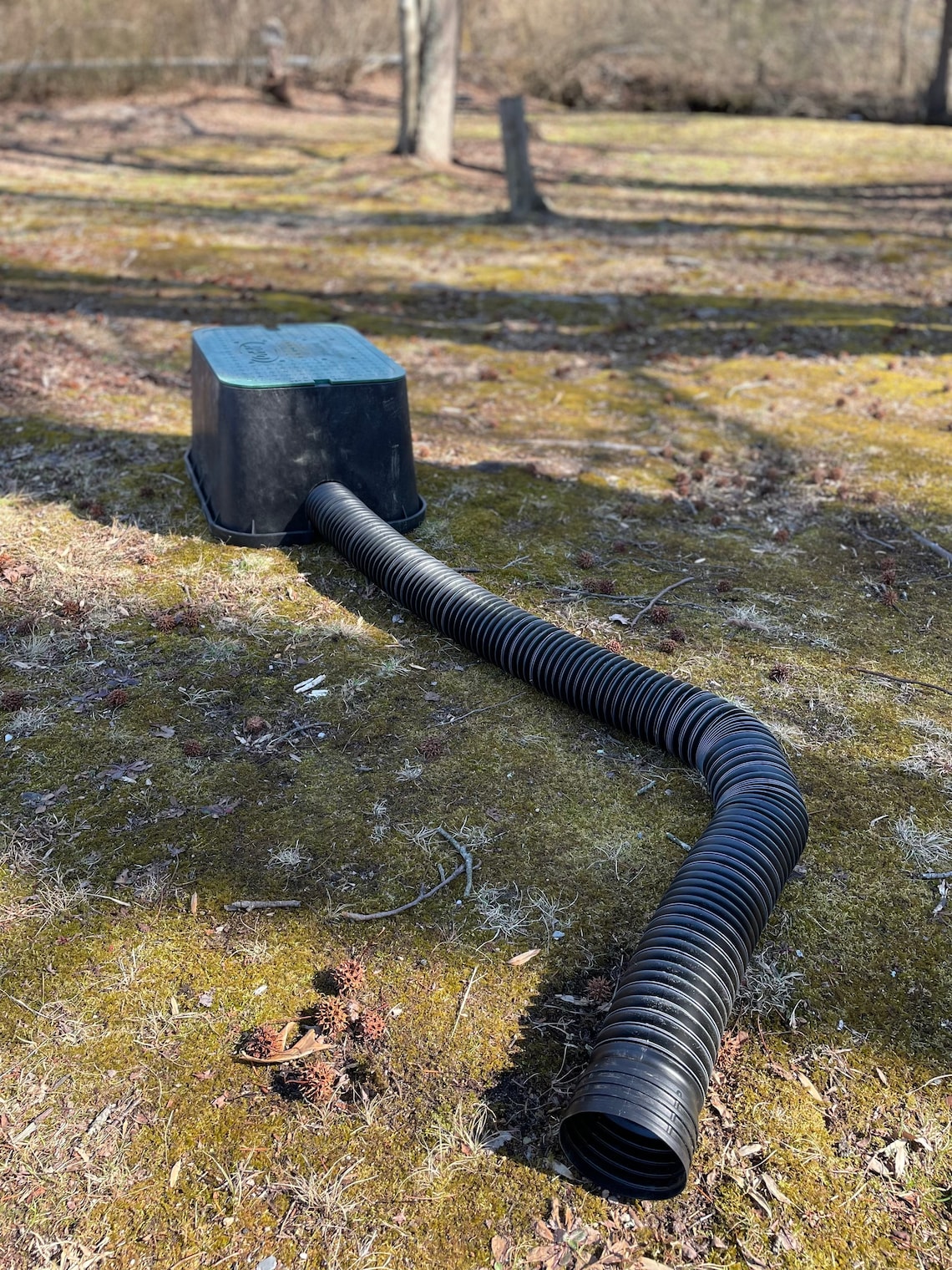 Burrowing Owl Artificial Burrow | Etsy