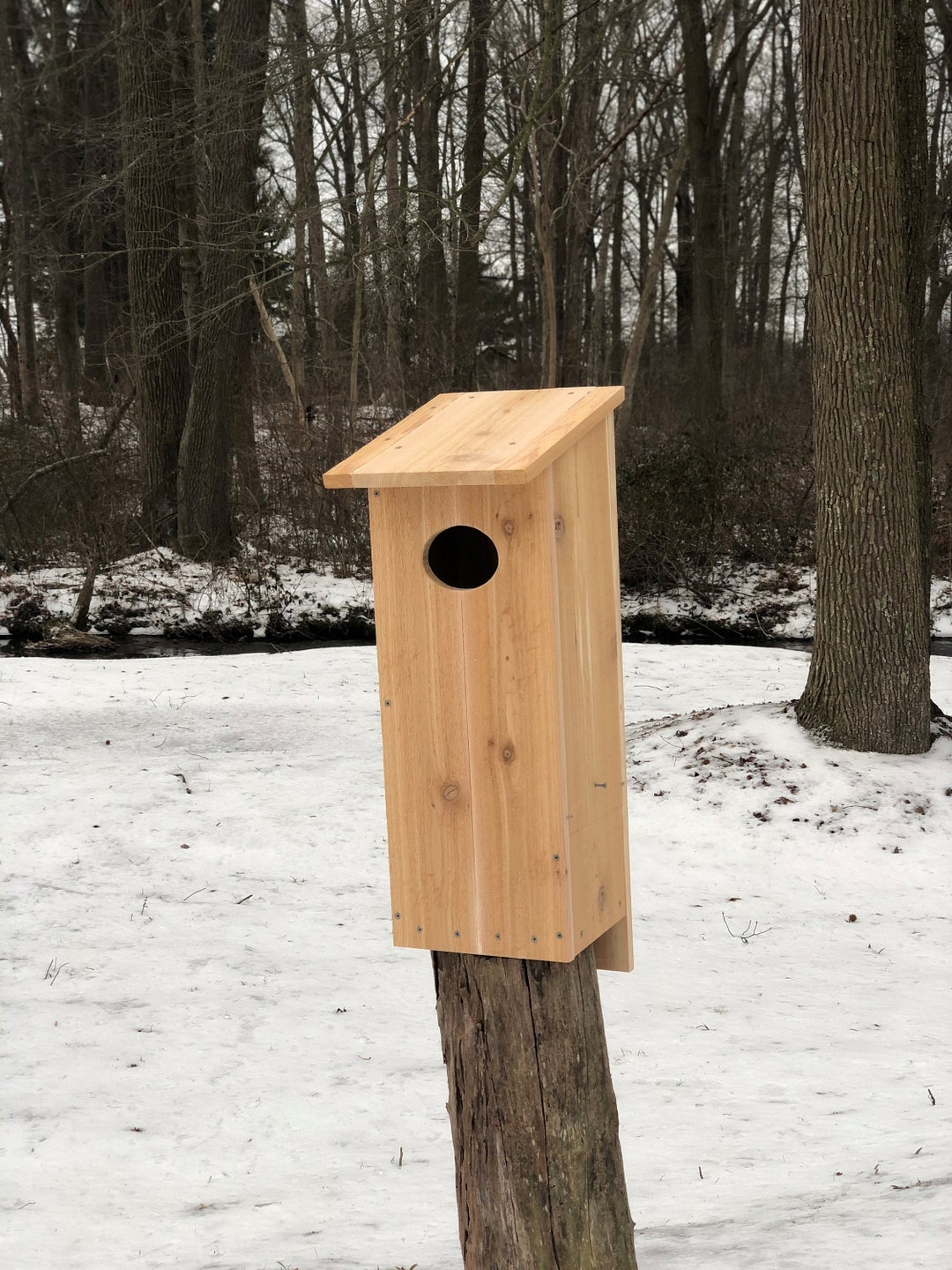 Wood Duck Nest Box With Rot Free Floor - Etsy