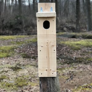 Northern Flicker Nest Box - Etsy