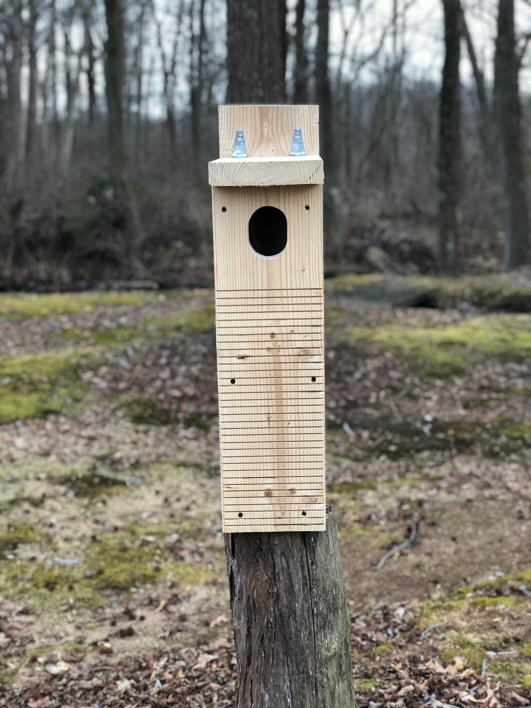 Northern Flicker Nest Box - Etsy