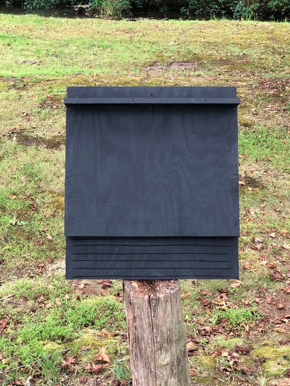 Oregon Wedge Single Chamber Bat Roost Fully Assembled or Kits | Etsy