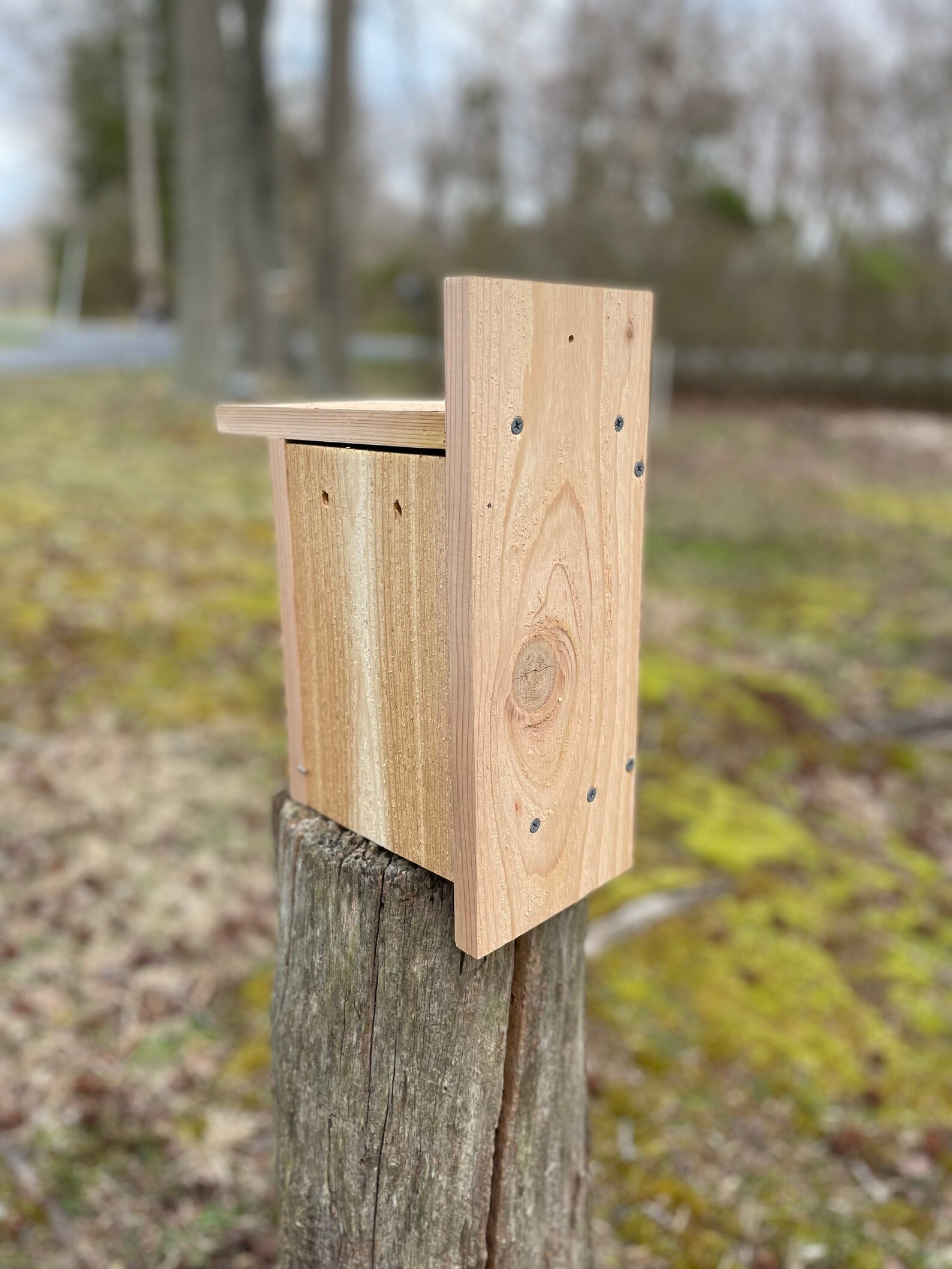Bluebird & Tree Swallow Birdhouses - Etsy