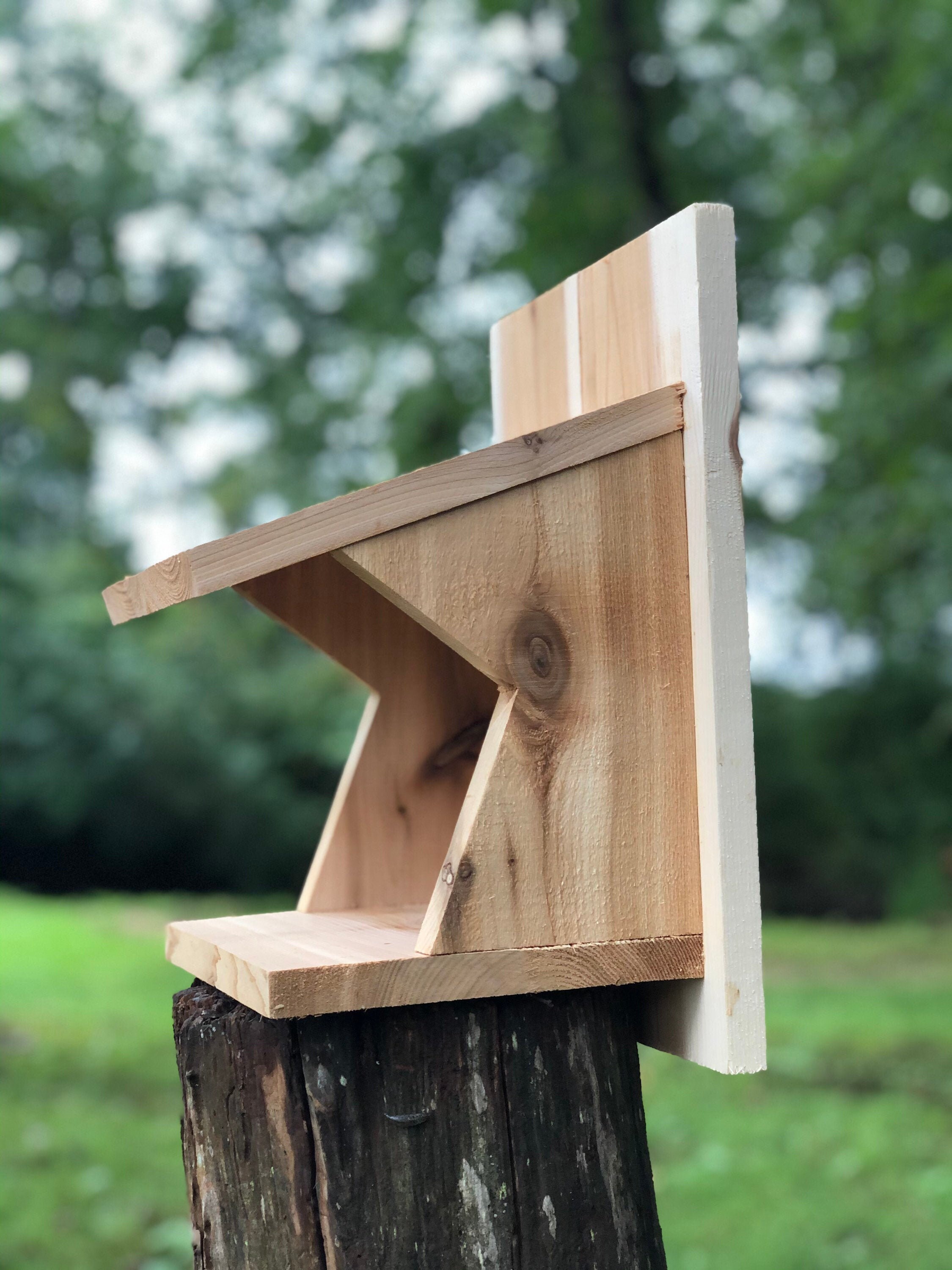 Eastern Phoebe Barn Swallow & American Robin Nest Shelf | Etsy