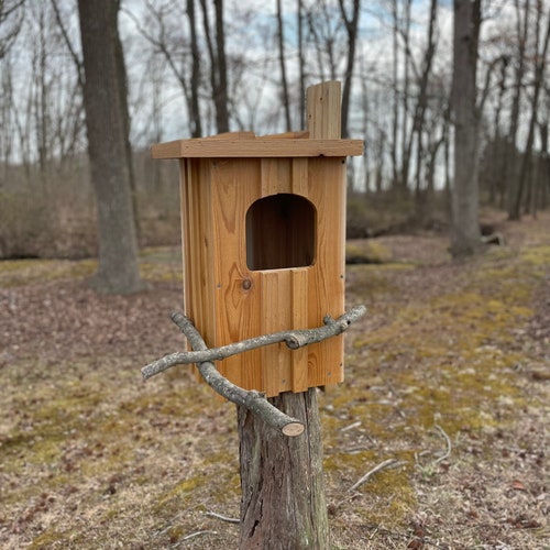 Barred or Great Horned Owl Nesting Box With Free Shipping - Etsy